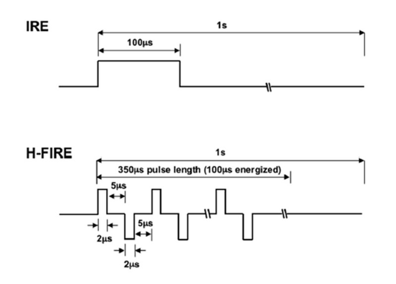 EHT BMP High Voltage Bipolar Microsecond Pulse Generator : Zerif ...